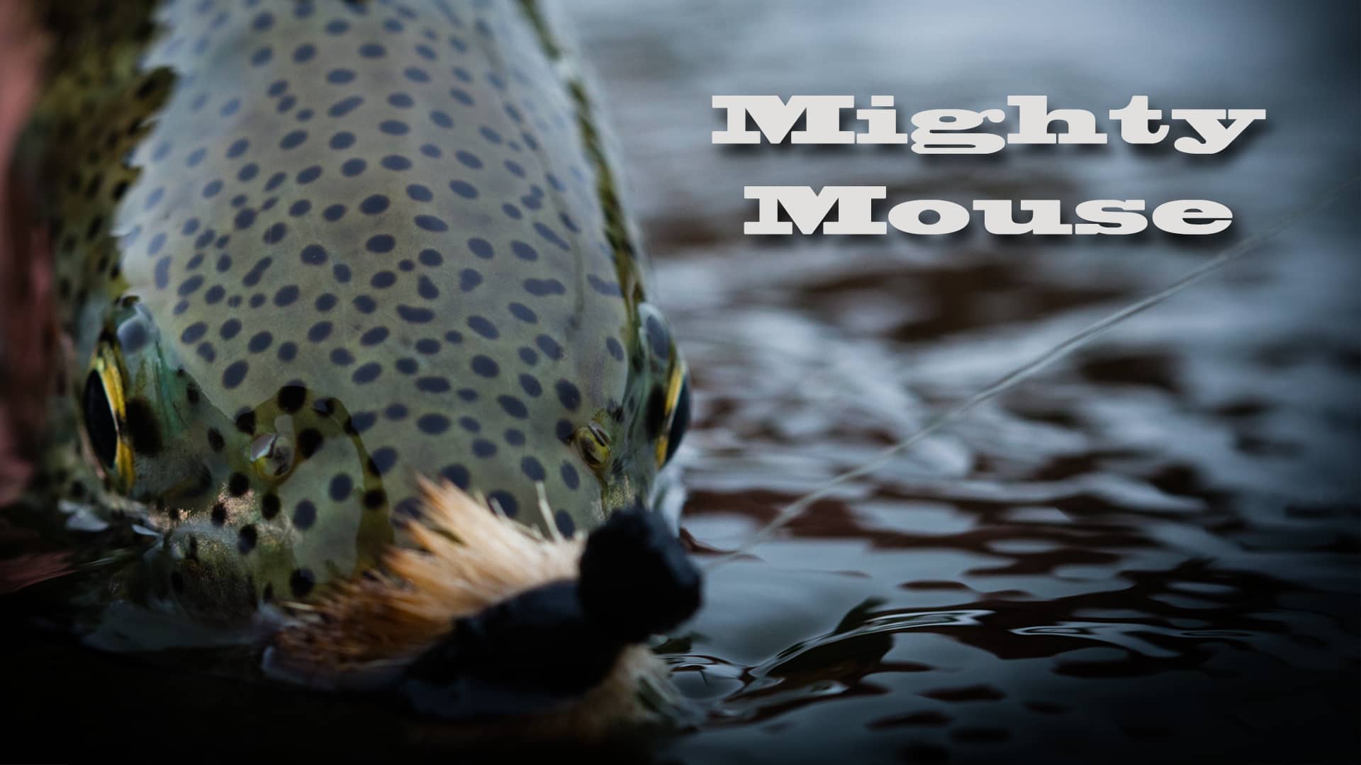 Alaska Magazine | Mighty Mouse