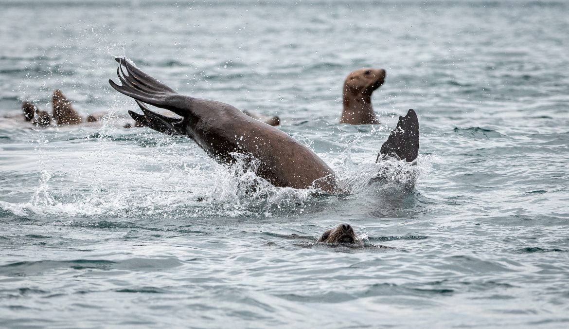 Alaska Magazine | Hidden Alaska Destinations