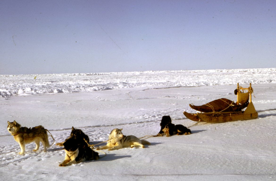 Alaska Magazine | Remembering Richard K. Nelson, author and anthropologist