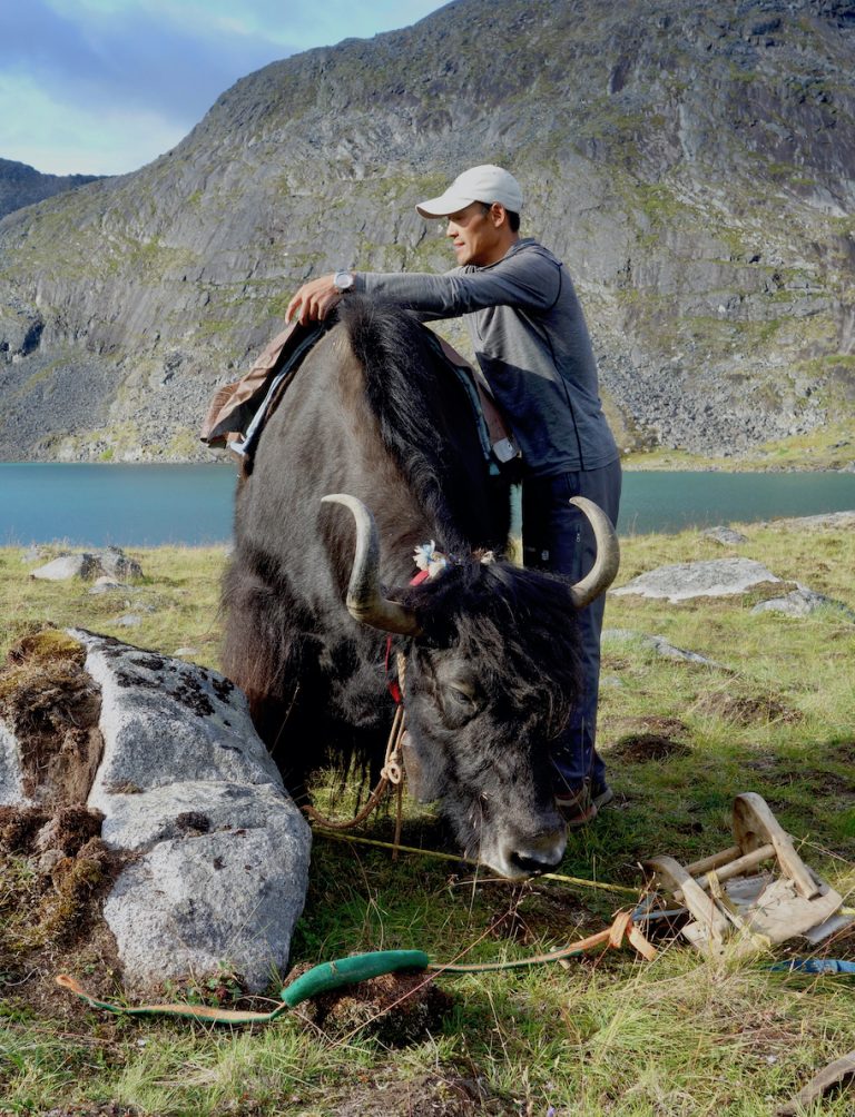 Alaska Magazine | An Alaska Yak Hike