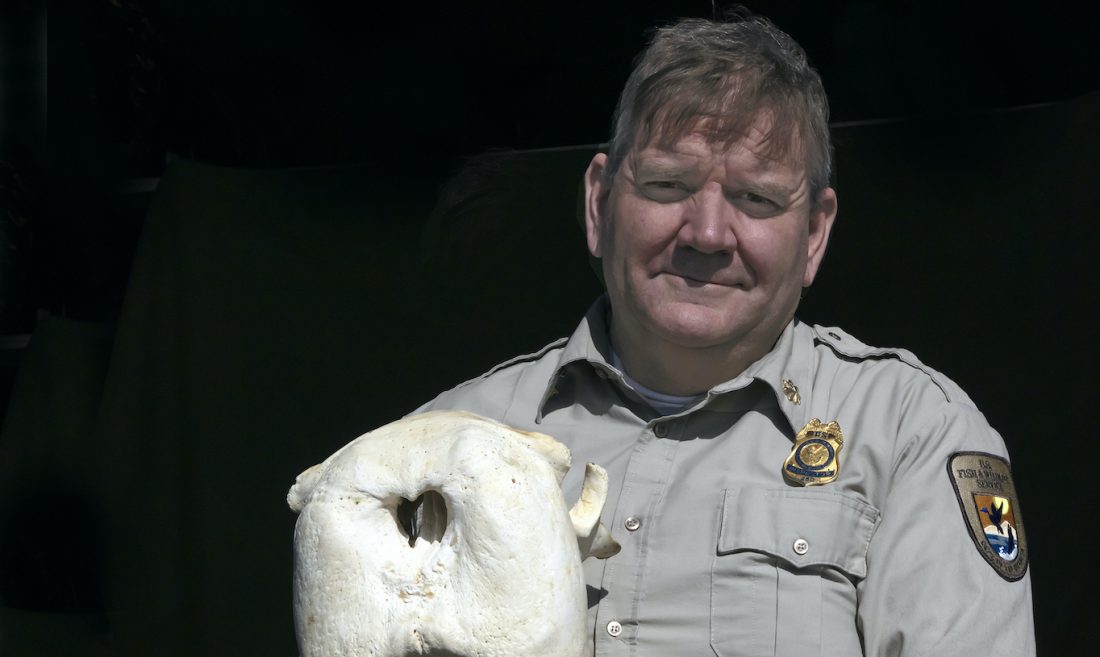 Alaska Magazine | Wildlife Inspectors are the Front Line of ...