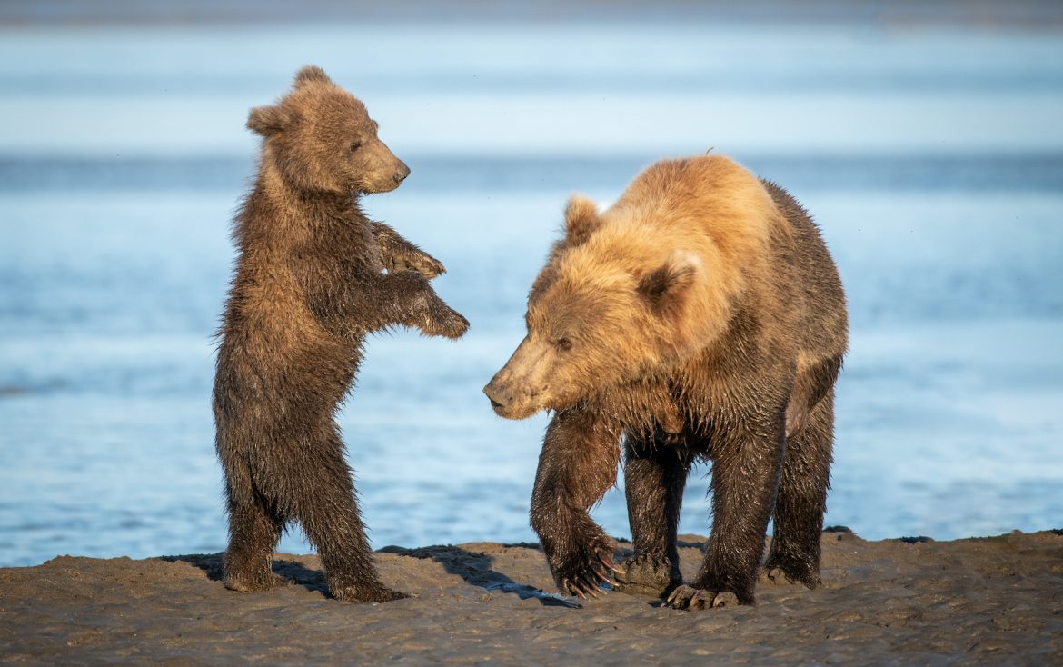 Alaska Magazine | The Story Behind the Photo