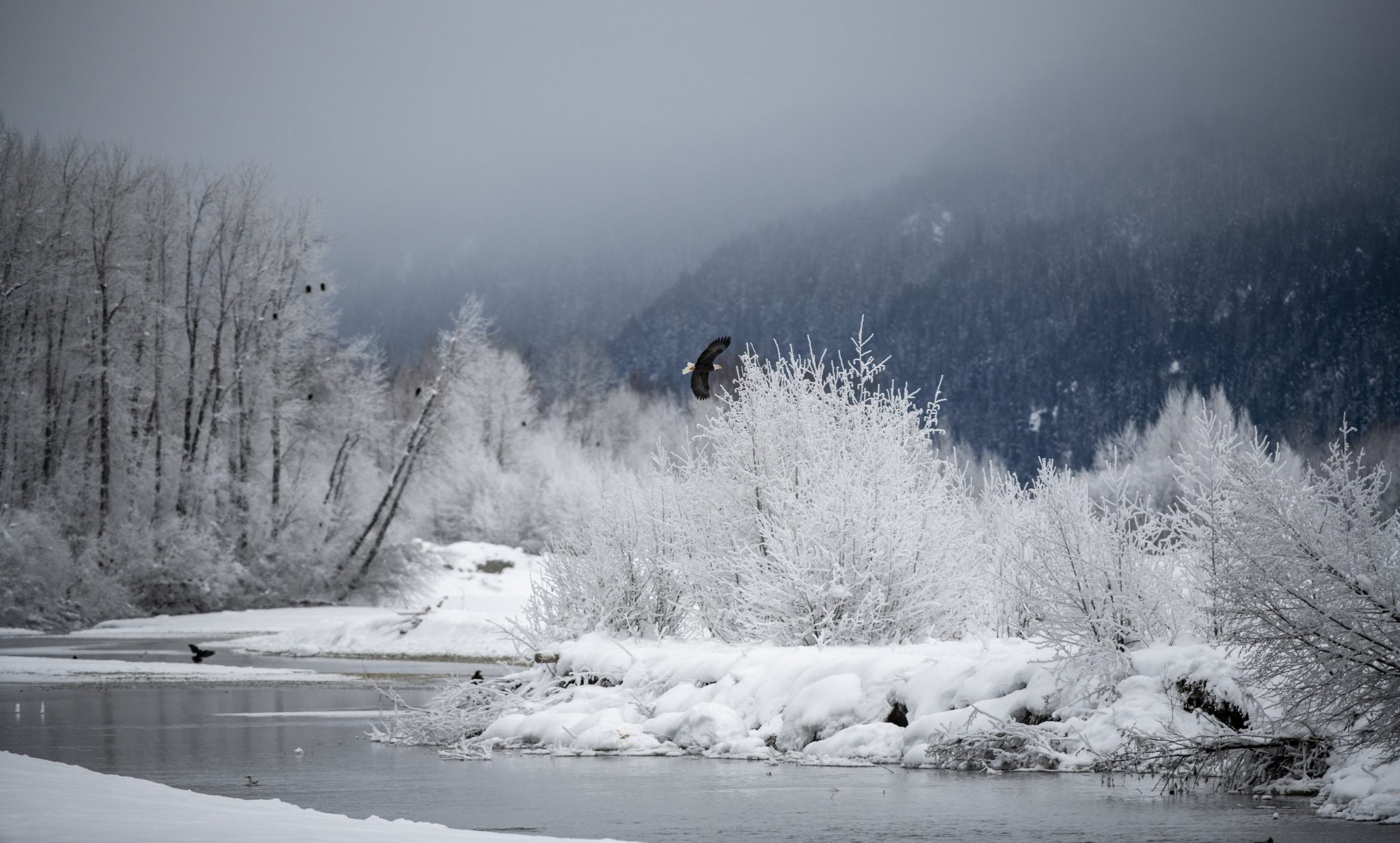 Alaska Magazine | Haines is Weird and Wonderful