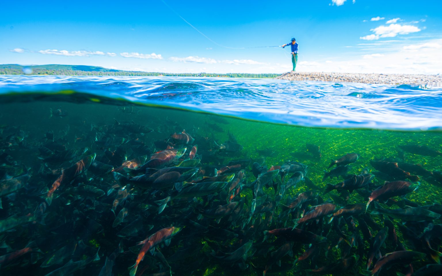Alaska Magazine | 2022 Alaska Photo Contest Winners