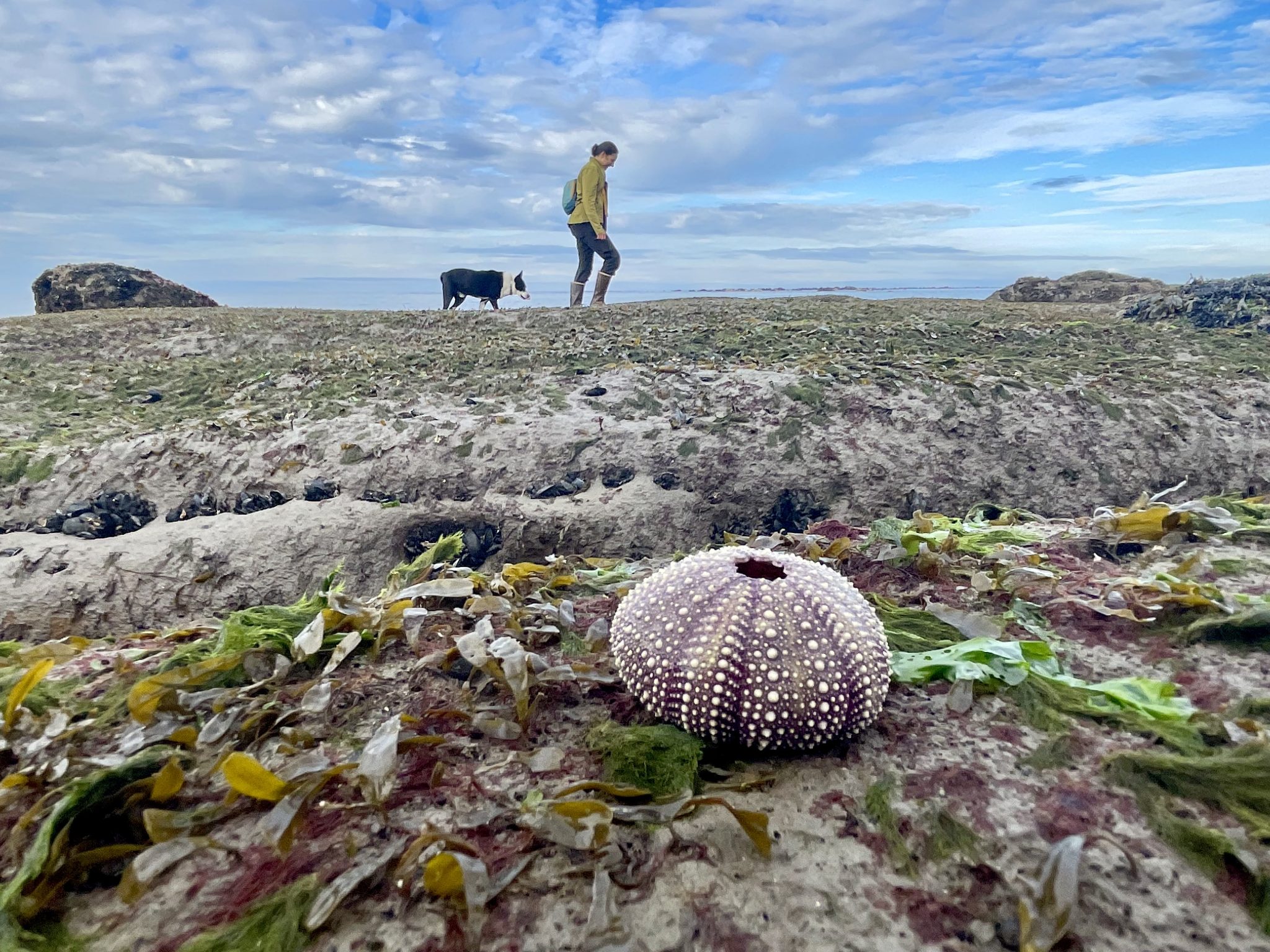 Alaska Magazine | 2022 Alaska Photo Contest Winners