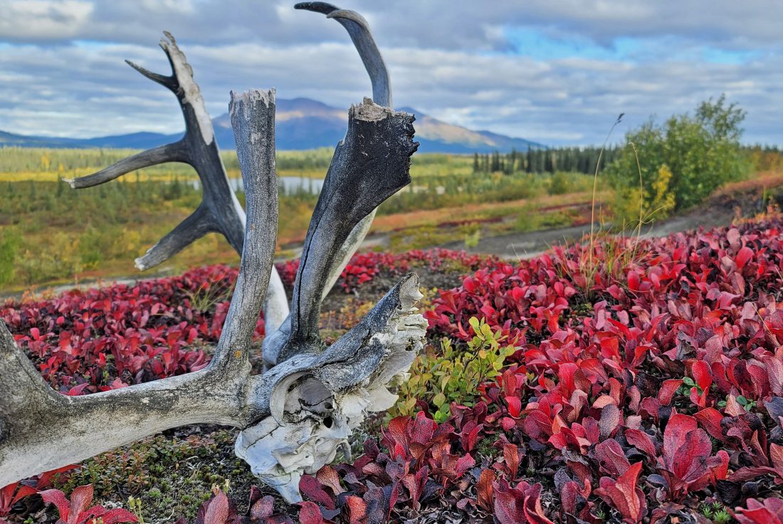 Alaska Magazine | Photographing Alaska
