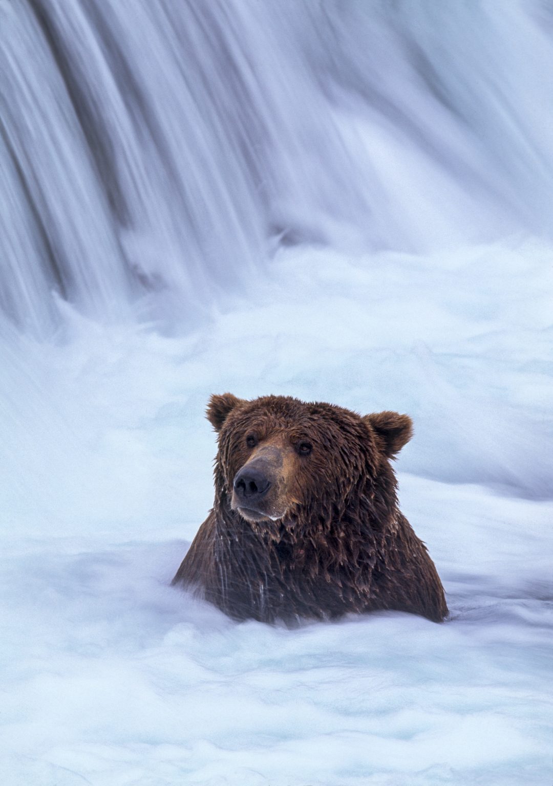 Alaska Magazine | On Assignment