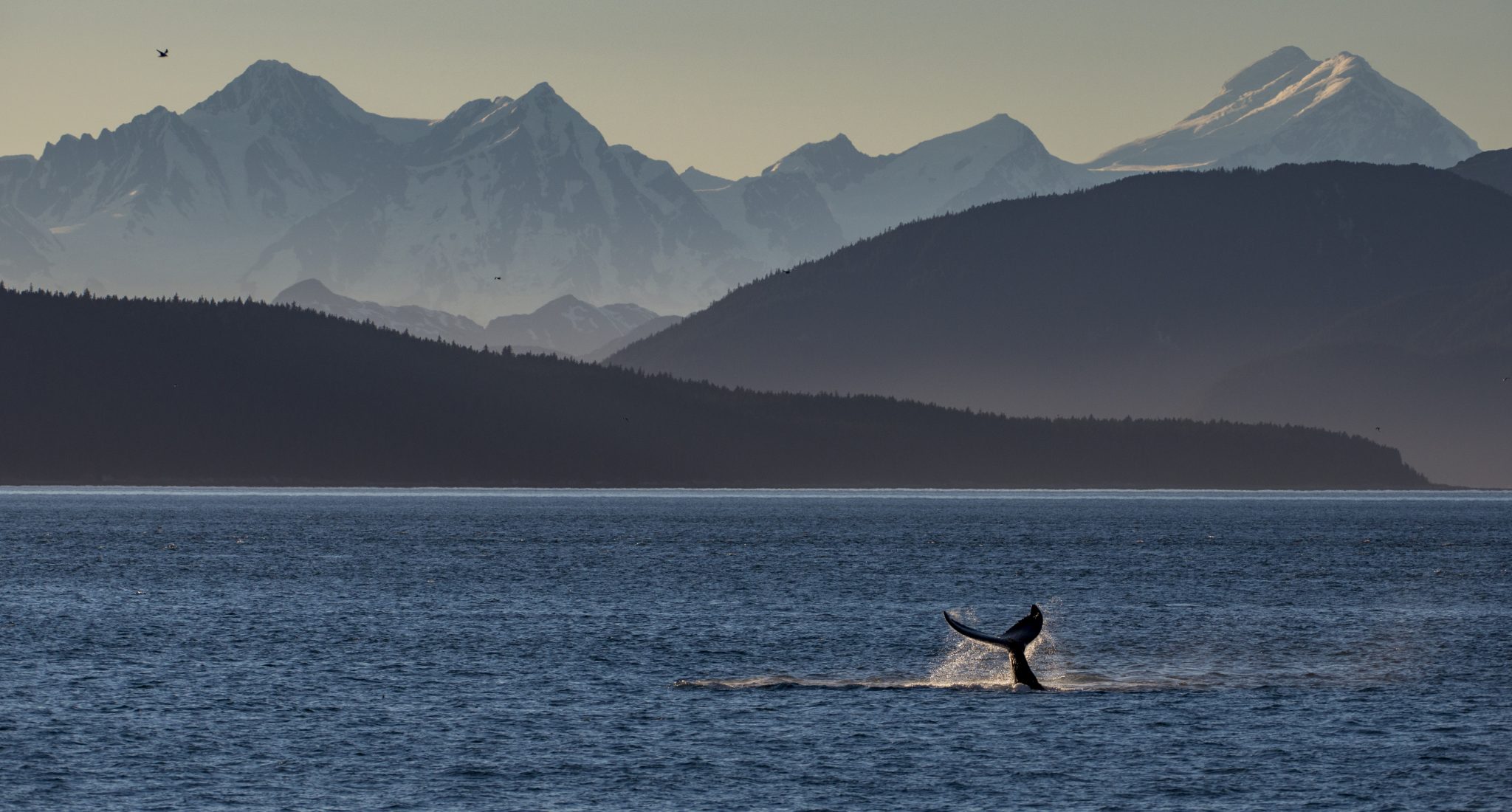 Alaska Magazine | On Assignment