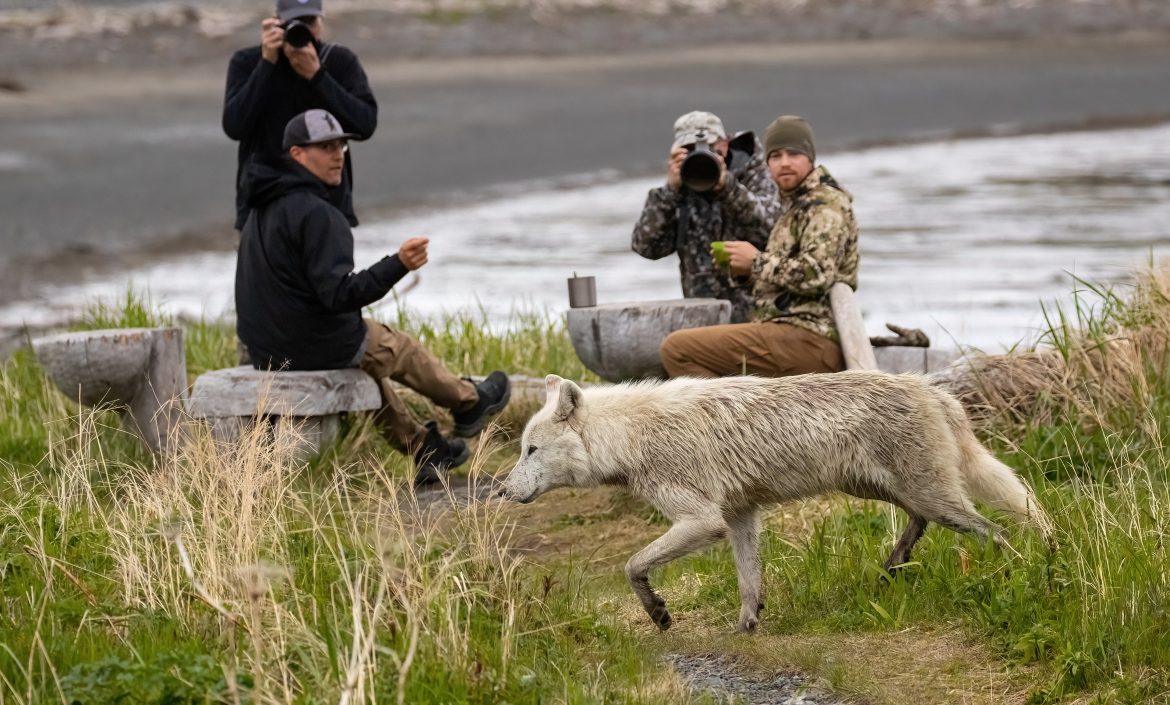 Alaska Magazine | 2023 Photo Contest Winners