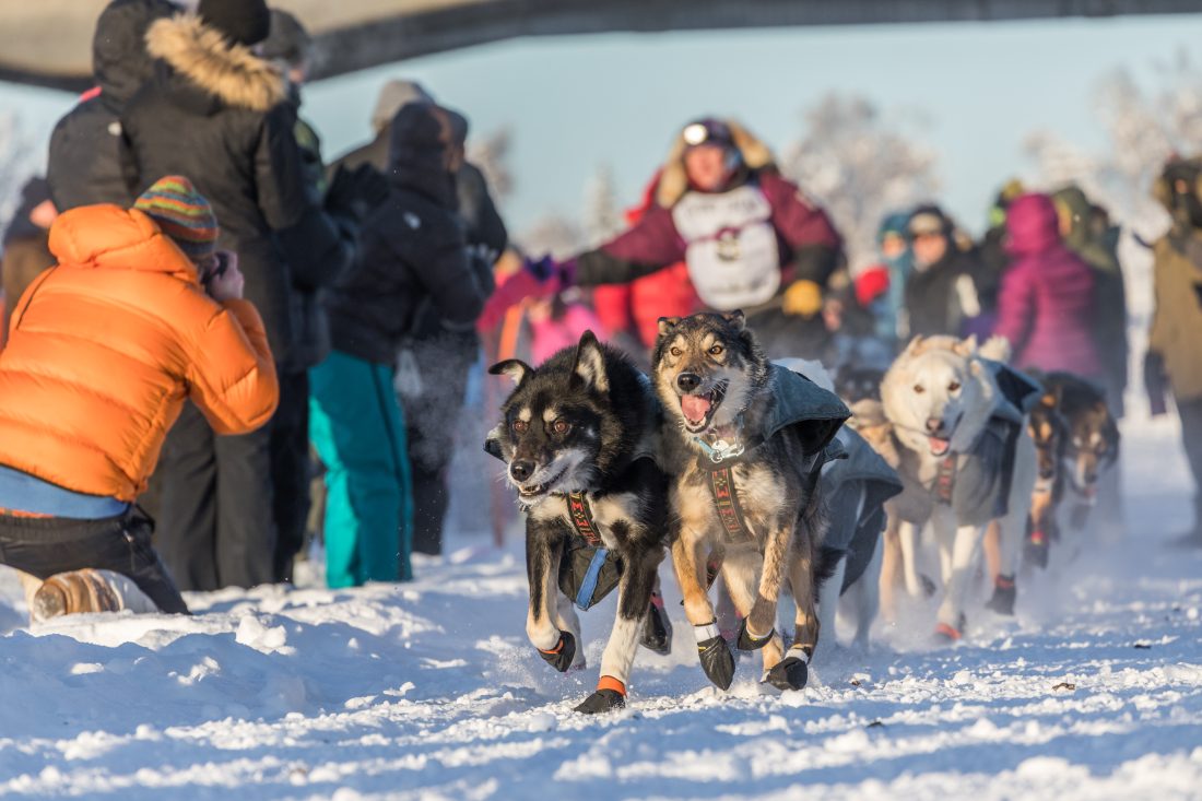 Alaska Magazine | Where to catch races around Alaska