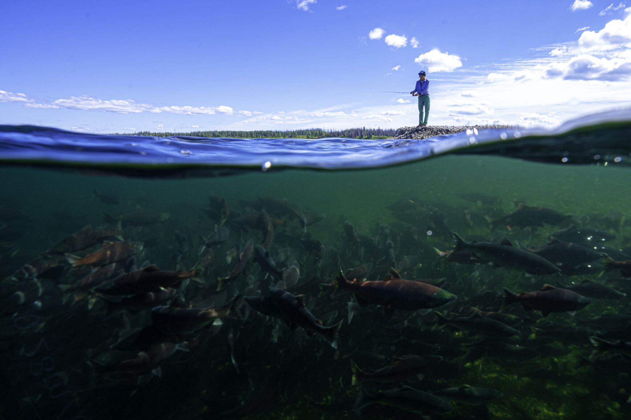 Alaska Magazine | 2024 Photo Contest Winners