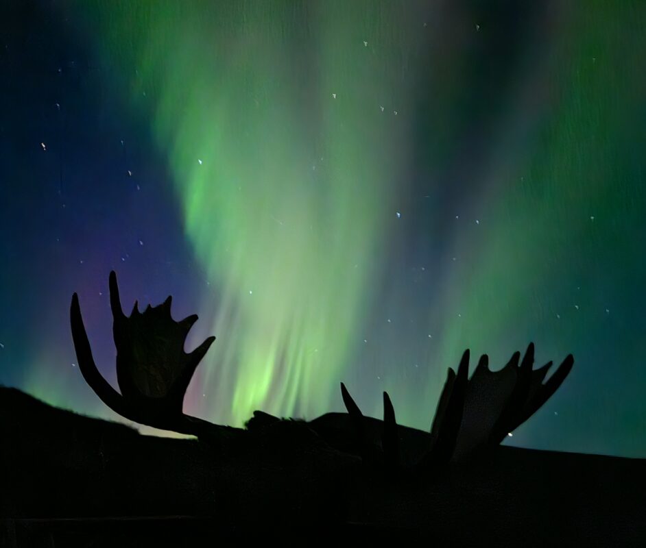 Just Moosing Around - 2025 Photo Contest with Alaska Airlines - Alaska ...