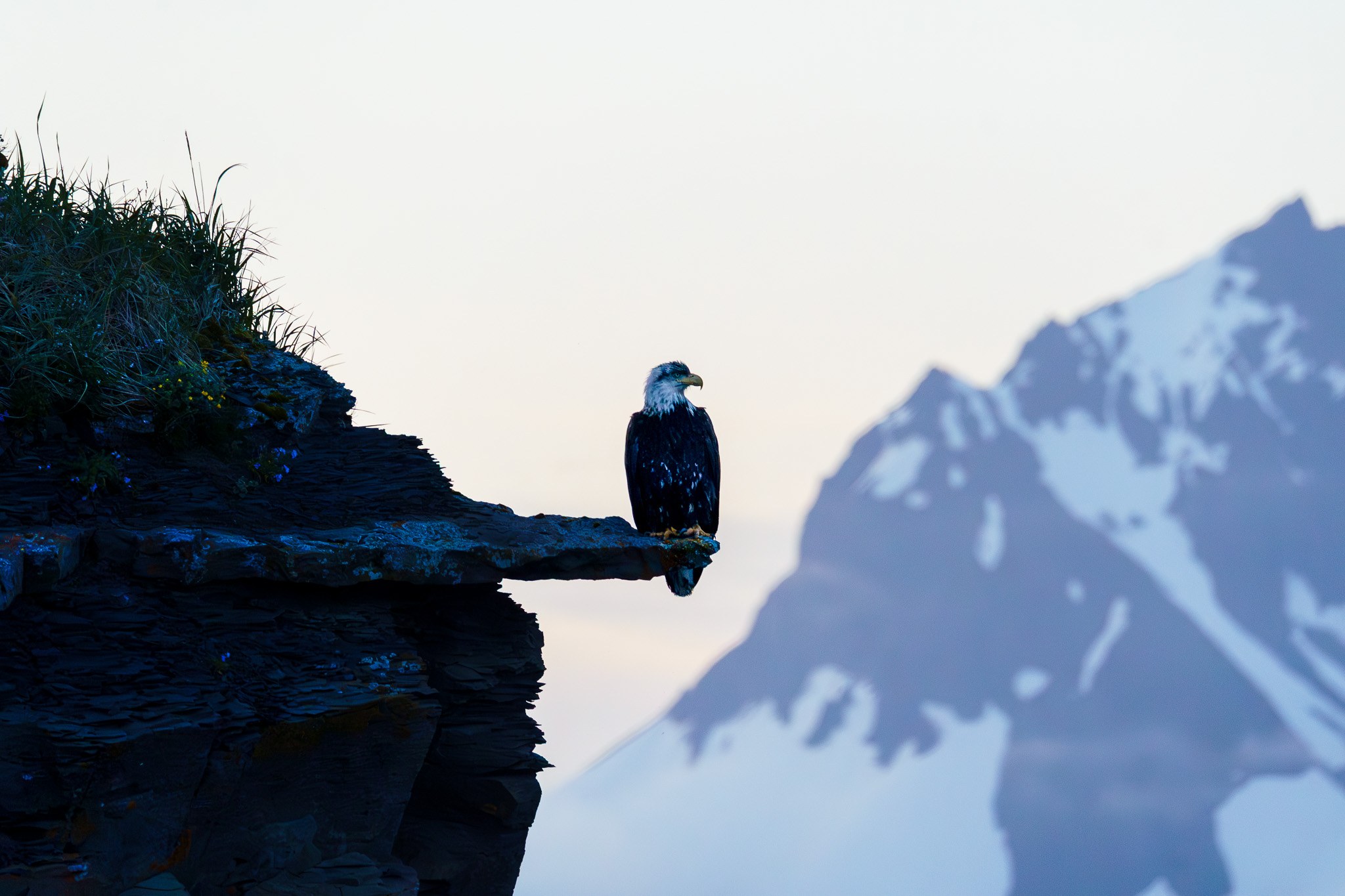 Edge of the Wild - 2025 Photo Contest with Alaska Airlines - Alaska ...